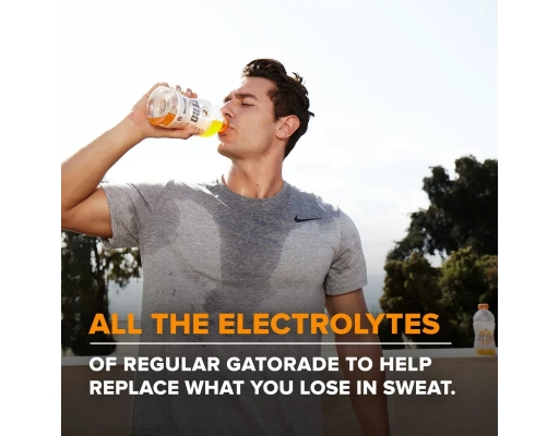 Gatorade Zero Sugar Thirst Quencher Drinks Variety Pack 12 fl