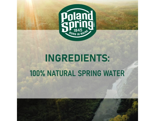 Poland Spring 100% Natural Spring Water 16.9 oz (40-pk)
