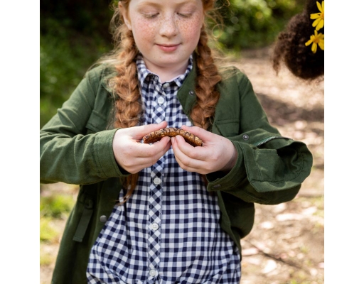 Clif Kid ZBar Variety Pack 1.27 oz (36-pk)