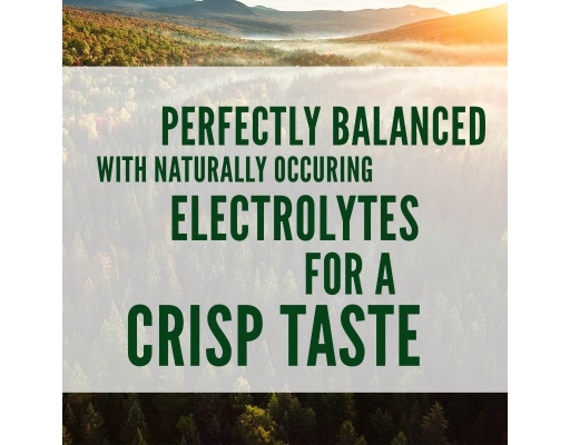 Poland Spring 100% Natural Spring Water Bottles – 20 fl oz, 28-Pack