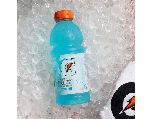 Gatorade Thirst Quencher Drinks Frost 20 fl oz (24-pk)